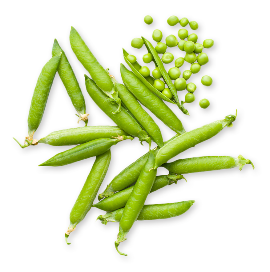 Pharma Rep :: Catering Delivered On-Time to Your Meeting